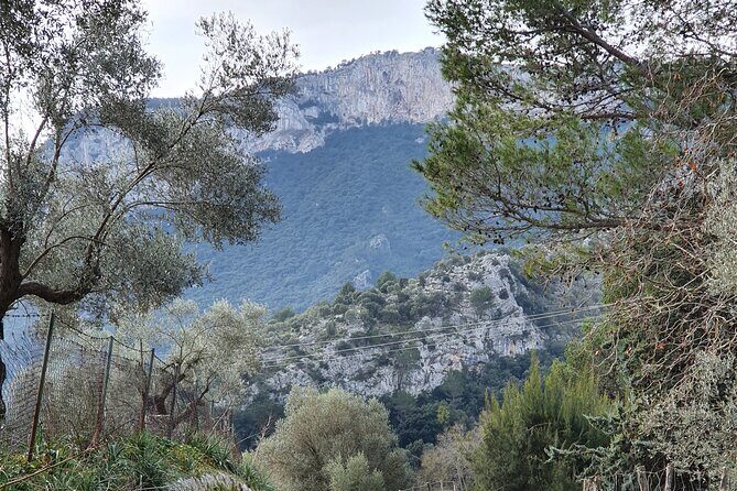 Half-Day Mountain Bike Experience to Serra de Tramuntana, - Detailed Breakdown of the Tour: What to Expect