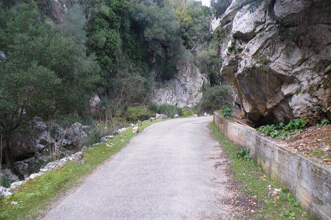 Half-Day Mountain Bike Experience to Serra de Tramuntana, - Transportation and Practicalities