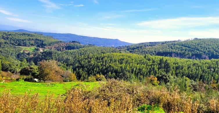 Half-Day Mountain Jeep Safari with firewater tasting - What Travelers Are Saying