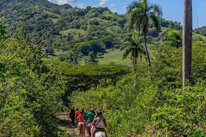 Half-Day Mountain Ride in Puerto Plata - Exploring Puerto Platas Mountain Landscape on Horseback
