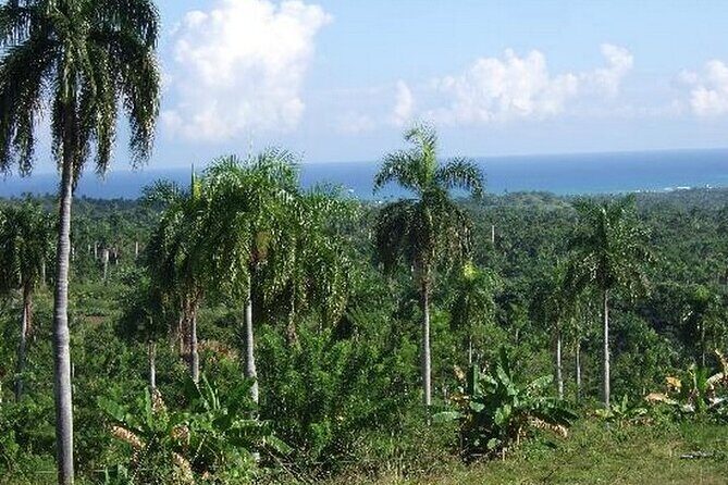 Half-Day Mountain Ride in Puerto Plata - Who Should Consider This Tour?