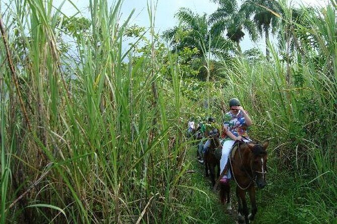 Half-Day Mountain Ride in Puerto Plata - FAQ