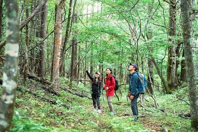 Half-Day Mt. Fuji Scenic Drive: 3-Hour Tour - FAQs