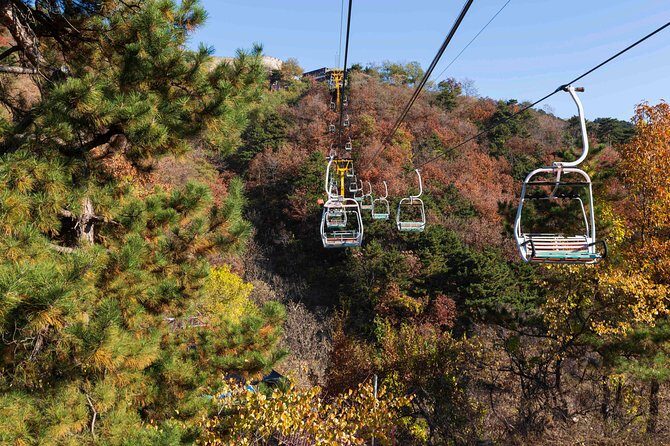 Half Day Mutianyu Great Wall private tour - Final Thoughts