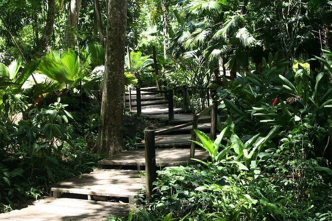 Half-Day Nadi Tour: Lookout, Temple & Village - Transport and Logistics