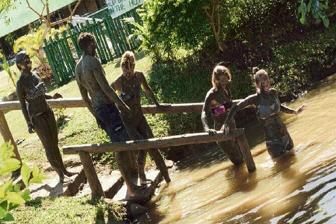 Half Day Nadi Tour-Mudpools, Gardens,Temple,Handicraft markets/LUNCH-Coral Coast - A closer look at the experience