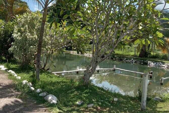 Half Day Nadi Tour Temple, Market, Gardens and Mud Pools - FAQ