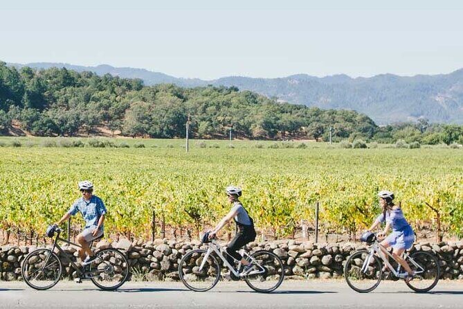 Half-Day Napa Valley E-Bike Tour - What’s Included and What’s Not