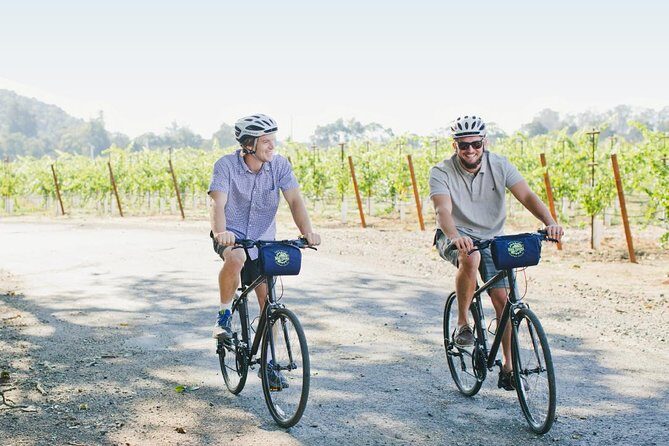 Half-Day Napa Valley E-Bike Tour - The Ride Itself: Details and Impressions