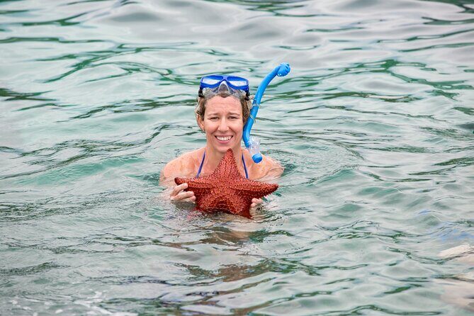 Half-Day Nassau Getaway: Rose Island Snorkeling & Turtle Visit - Exploring the Itinerary: What’s in Store