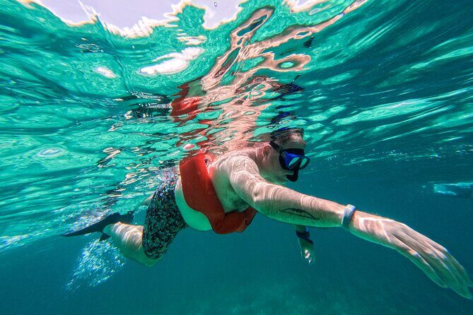 Half-Day Nassau Getaway: Rose Island Snorkeling & Turtle Visit - The Sum Up