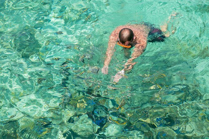 Half-Day Nassau Getaway: Rose Island Snorkeling & Turtle Visit - FAQs