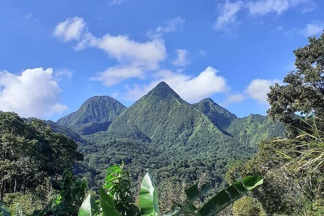 Half-Day Nature and Panorama Tour in Martinique - Key Points