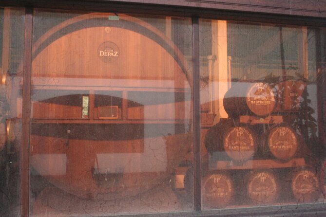 Half-Day Nature and Panorama Tour in Martinique - Who Will Love This Tour?