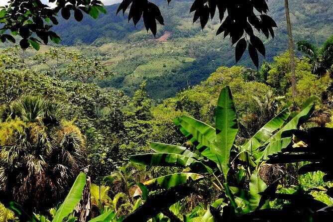 Half-Day Nature Culture Excursion, Tropical Taino Garden Tour - What to Expect and Tips for Travelers
