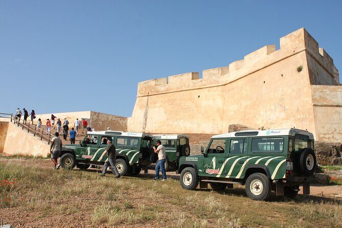Half-Day Nature Safari in the Algarve - Who Will Love This Tour?
