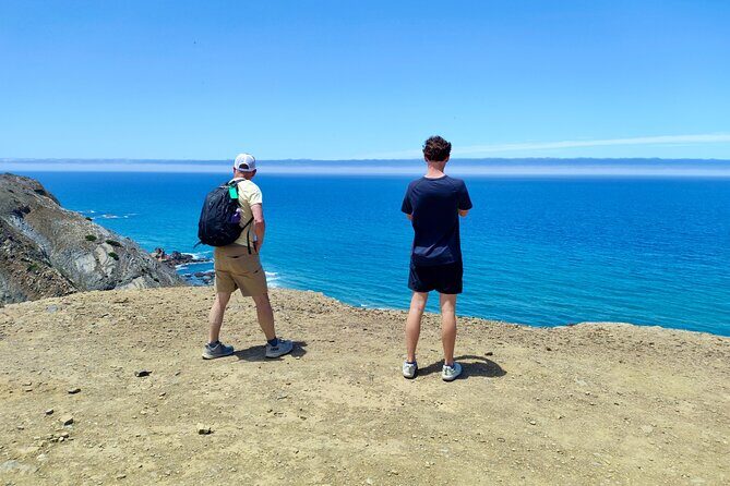 Half Day Nature Walk and Picnic at West Coast Algarve - Introduction: Why This Tour is Special