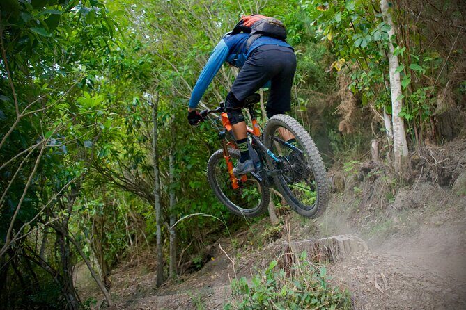 Half Day Nelson Electric Mountain Bike Rental Adventure - Introduction: Why This Tour Stands Out