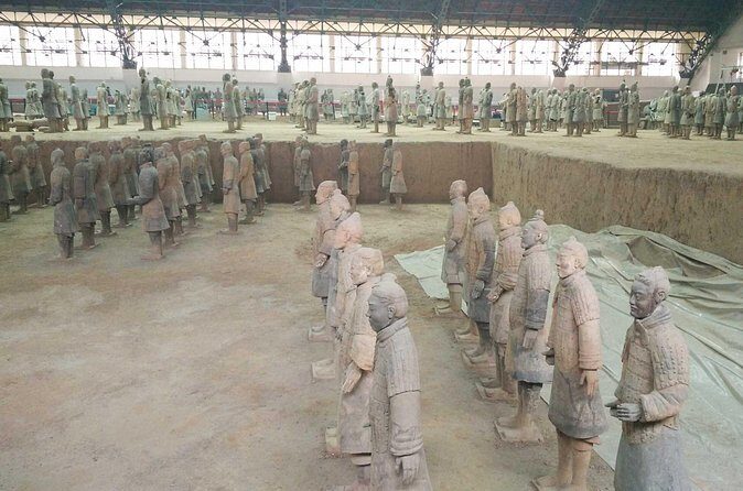 Half-day No-shopping Group Tour of Terracotta Army - Practical Details and Value