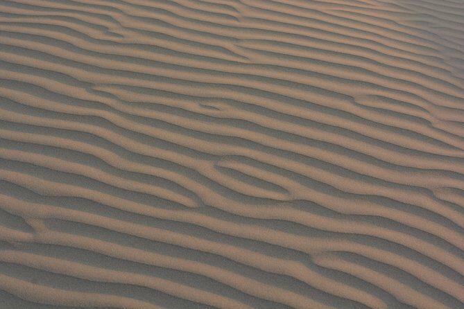 Half day, non touristic sand dune ,camel safari with dinner - Key Points
