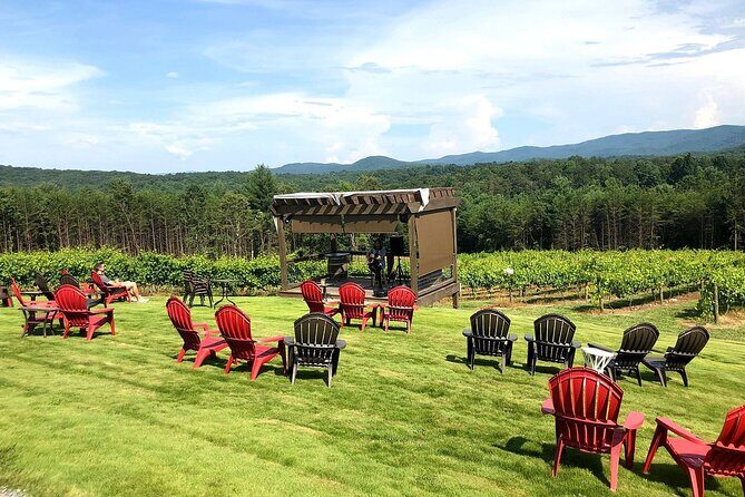 Half-Day North Georgia Wine Country Tour From Atlanta - Final Thoughts: Who Will Love This?