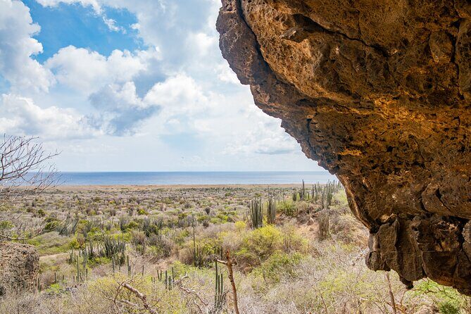 Half Day Off-Road & Snorkel Safari - The Sum Up