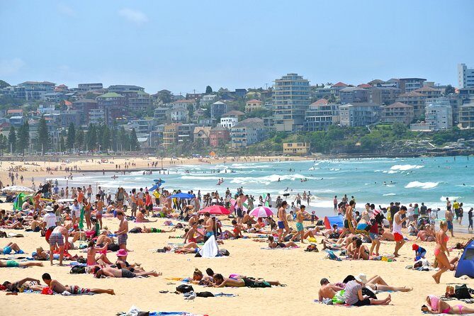 Half-Day or Full-Day Private Guide Hire From Sydney - Why Travelers Rave About This Tour