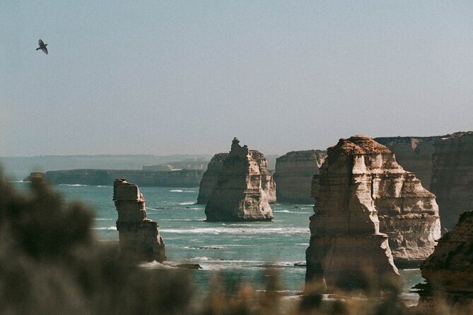 Half-Day or Full-Day Tour with Private Guide from Melbourne - Key Points