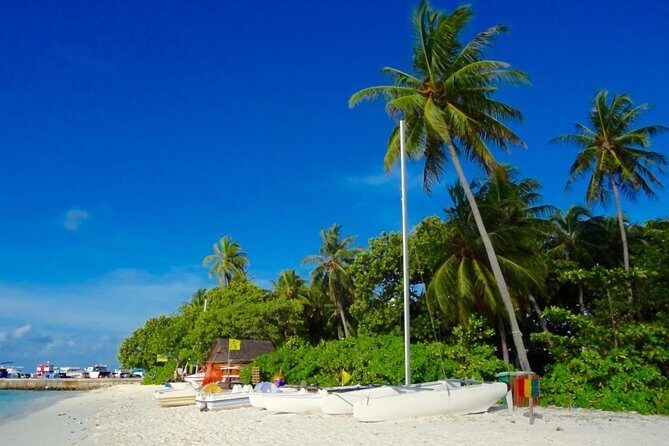 Half-Day Original Eco Tour to Villimale From Malé - Introduction: A Compact Dive into Local Island Life