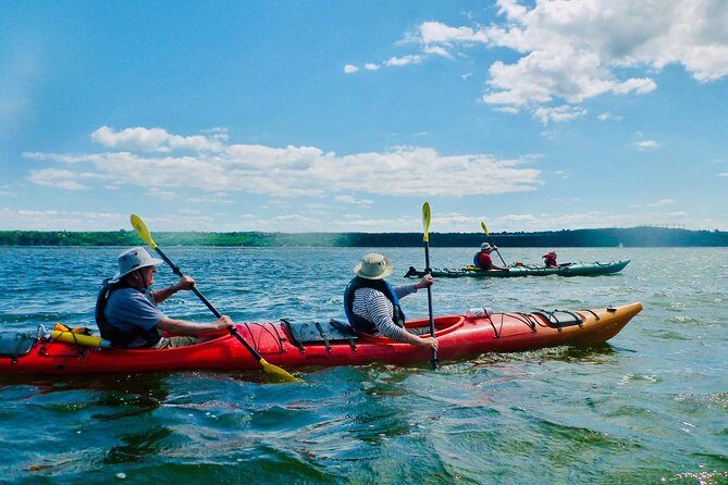 Half-Day Orleans Island Small-Group Sea Kayaking Tour - Who Will Love This Tour