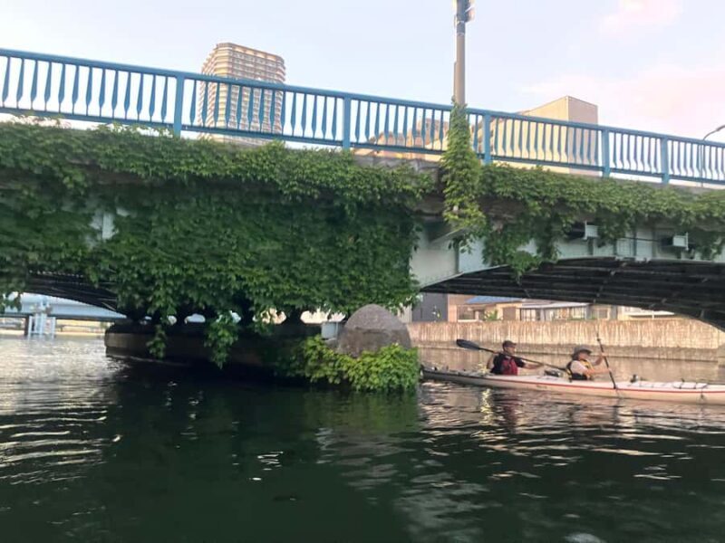 Half Day Osaka City Kayak tour - The Sum Up