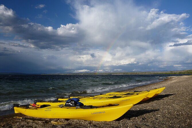 Half Day Paddle on Yellowstone Lake - The Sum Up: Who Should Consider This Tour?