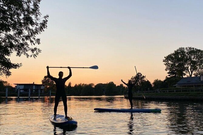 Half day Paddleboarding exploration on the Dart - An Invitation to Explore the River Dart by Paddleboard