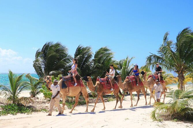 Half-Day Parasailing and Camel Caravan Tour in Maroma Beach - The Experience Overview