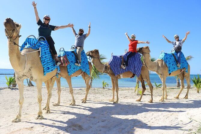 Half-Day Parasailing and Camel Caravan Tour in Maroma Beach - The Sum Up