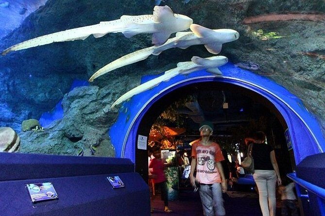 Half day Pattaya Floating Market and Underwater World Pattaya Combo - The Sum Up