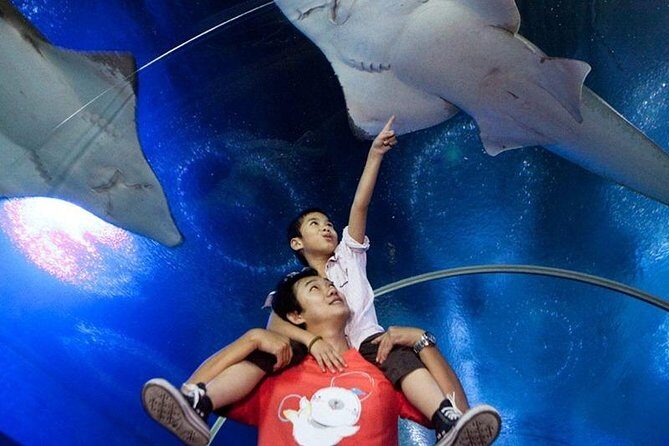 Half day Pattaya Floating Market and Underwater World Pattaya Combo - FAQ