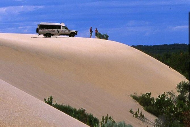 Half-Day Pemberton National Parks Beach and Forest Eco Adventure - Key Points