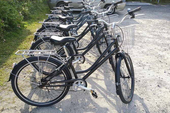 Half-Day Penang Countryside Cycling Tour - The Itinerary in Detail