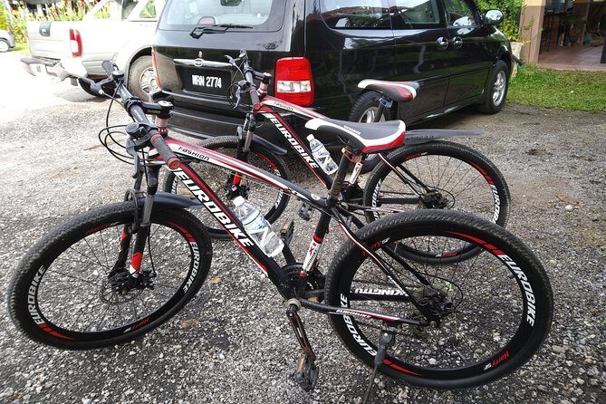 Half-Day Penang Countryside Cycling Tour - Who Will Love This Tour?