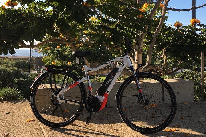 Half Day Performance eBike Rental - The Sum Up: Is the Half Day Performance eBike Rental for You?