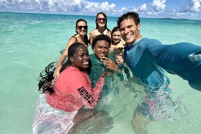 Half Day Pigs Turtles Reef and Ship Wreck Snorkeling - What Travelers Love About This Tour