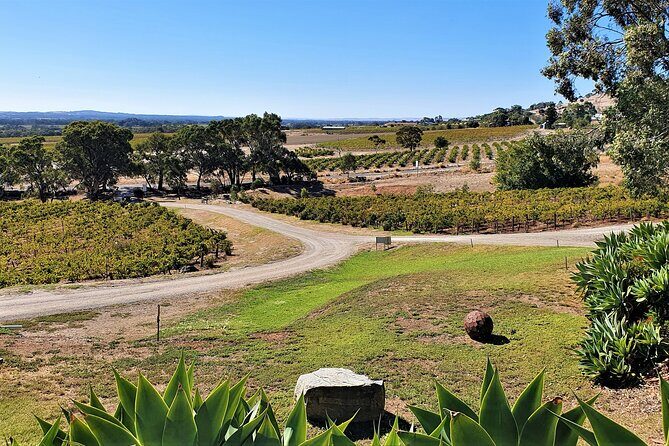 Half-day Private Barossa Valley Tour by Red Cab from Tanunda - The Experience in Practice