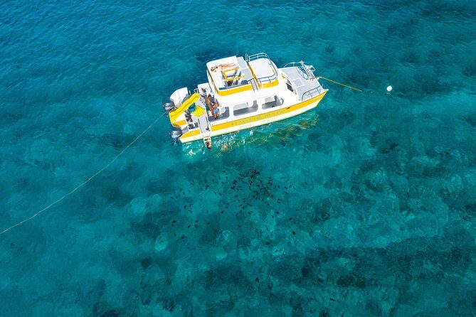 Half Day Private Boat Charter at Grace Bay, Providenciales - What Travelers Love