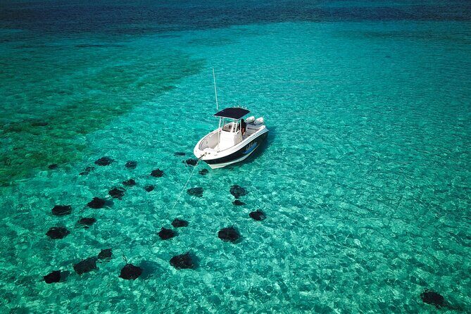 Half Day Private Boat Charter in Grand Cayman - Introduction: Why a Private Boat Tour in Grand Cayman is a Great Choice