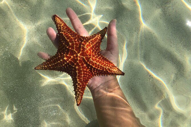 Half Day Private Boat Charter in Grand Cayman - FAQs