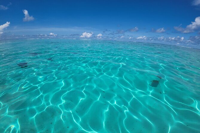 Half Day Private Boat Snorkeling Excursion Moorea - Itinerary Breakdown and What You Can Expect