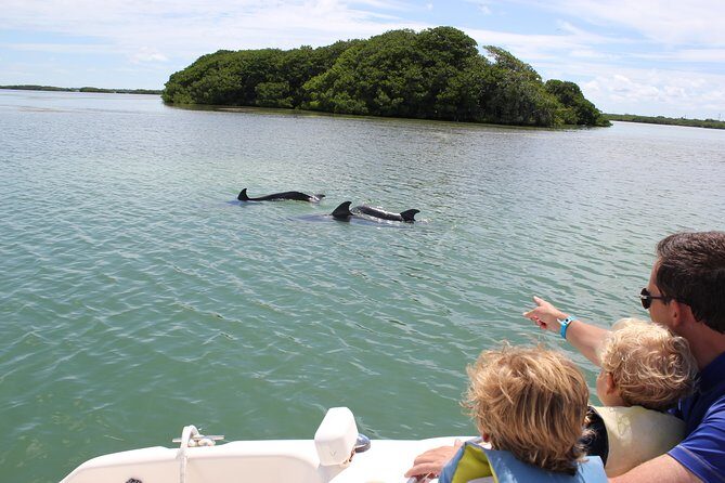 Half Day Private Boat Tour - Practical Details: Transport, Timing, and What You Need to Know