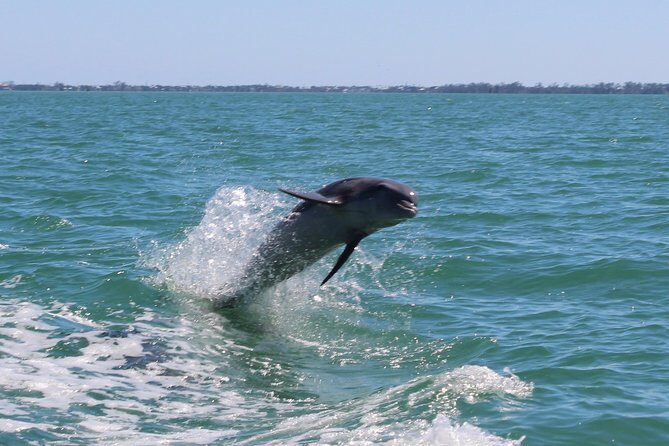 Half Day Private Boat Tour - The Value of a Private, Customized Experience