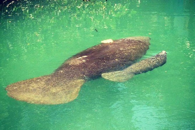 Half Day Private Boat Tour - Who Will Appreciate This Tour Most?